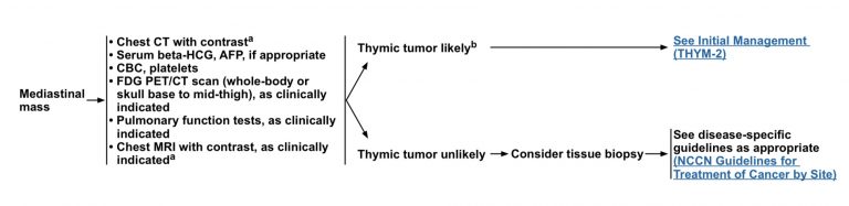 The NCCN Guidelines – Foundation for Thymic Cancer Research